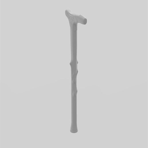 🚶 Walking Cane model・ STL File for 3D printing・Cults