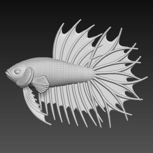 🐠 Betta Fish Crowntail - Ready For 3D Printing・ STL File for 3D ...