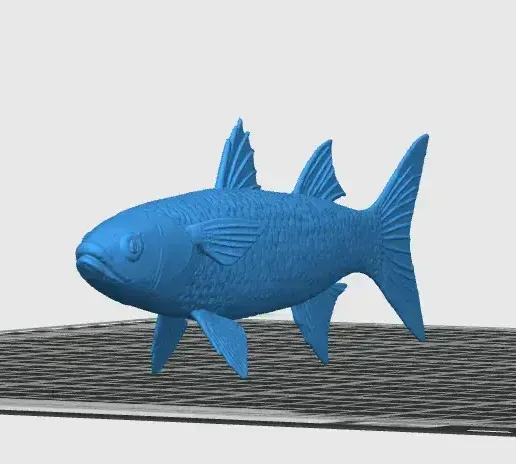 🐠 Graue Meeräsche/Buri (Mugil cephalus)・Kostenlos STL Datei für 3D ...