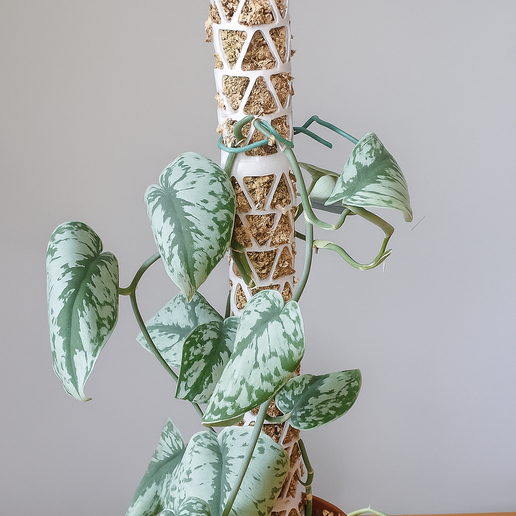 🌿 Moss pole・ 3D File for 3D printing・Cults