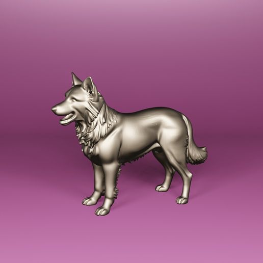 STL file Realistic Border Collie Dog 3D Model - STL for 3D Printing 🐕 ...