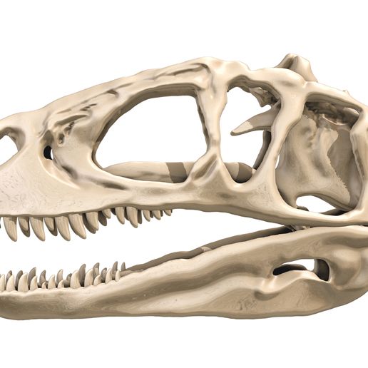 linheraptor skull