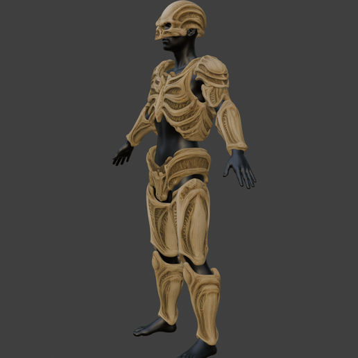 🦴 Biomechanical Skeleton Armor Set・ STL File for 3D printing・Cults