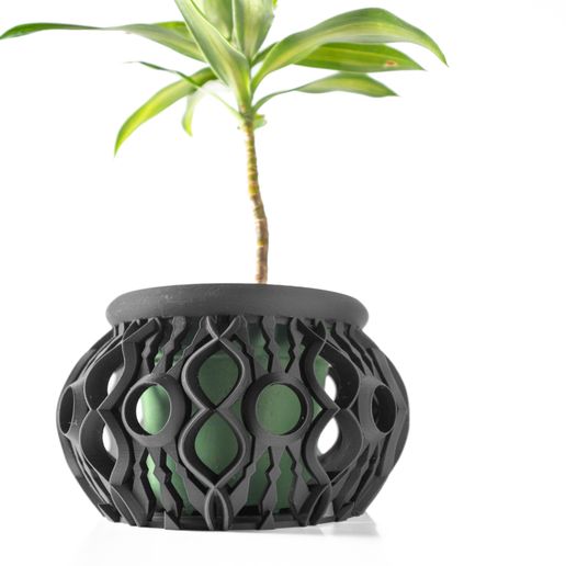 🪴 The Lyren Planter Pot & Orchid Pot Hybrid with Drainage Tray: Modern ...