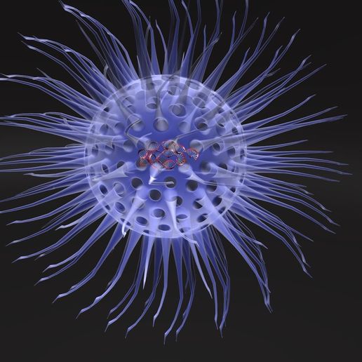 🧬 Virus With DNA helix and labelling・ 3D File for 3D printing・Cults