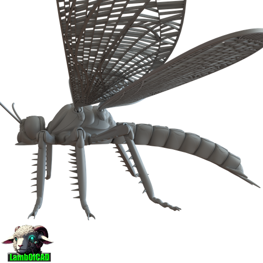 🐛 Meganeura Giant Prehistoric Dragonfly・Free STL File for 3D printing・Cults