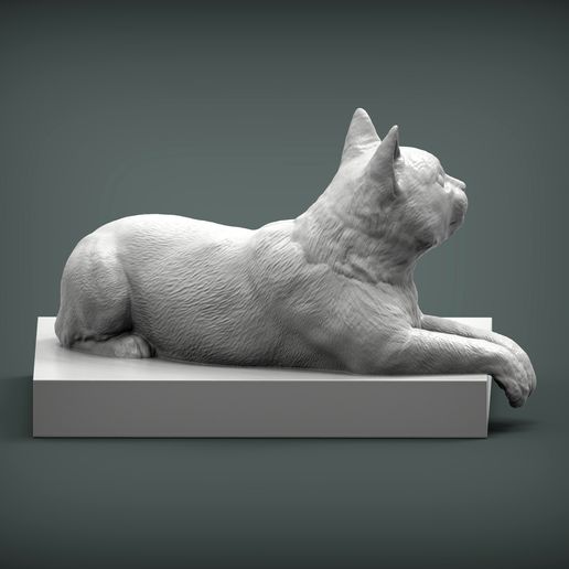 🐱 The cat is lying on the edge 3D print model・ STL File for 3D printing ...