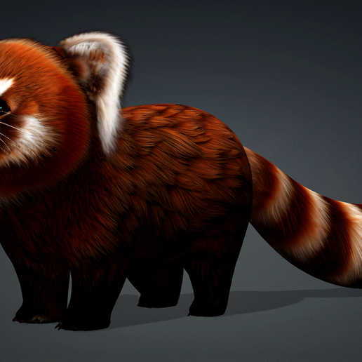 🐼 Red Panda A2・Free 3D File for 3D printing・Cults