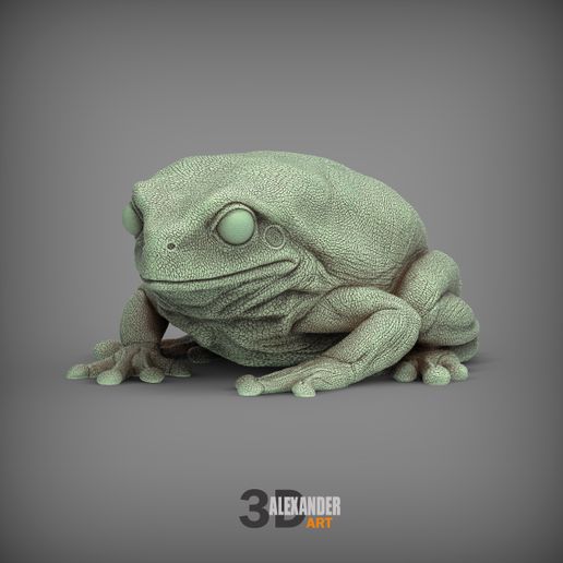 STL file Australian green tree frog 3D print model 🌳 (OBJ)・Model to ...
