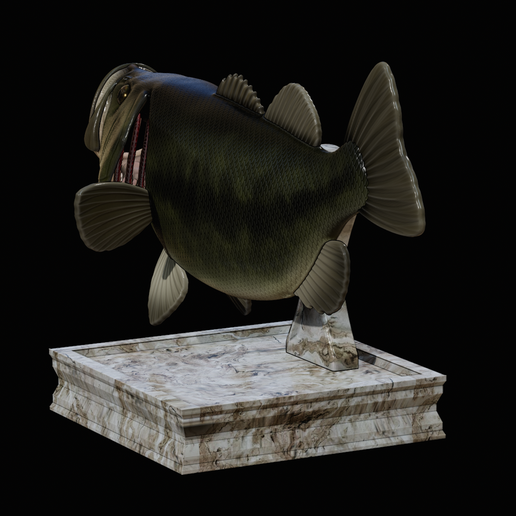 🐠 fish Largemouth Bass / Micropterus salmoides in motion 2 trophy ...