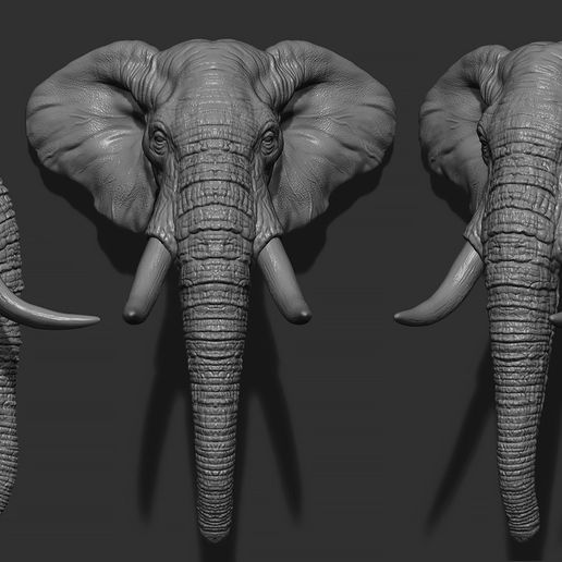 🐘 Realistic Elephant Head – High Poly・ STL File for 3D printing・Cults