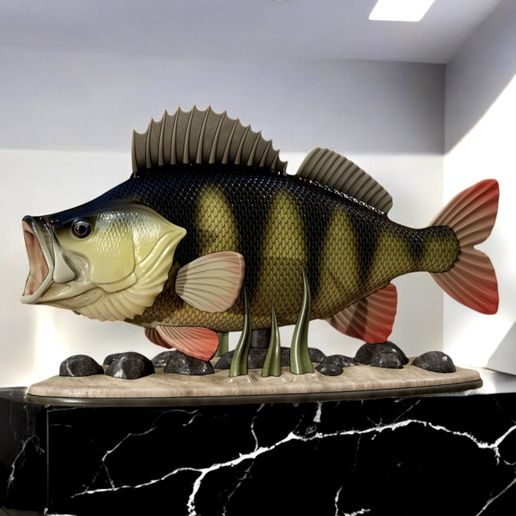 🐠 fish european perch / Perca fluviatilis natural base detailed texture ...