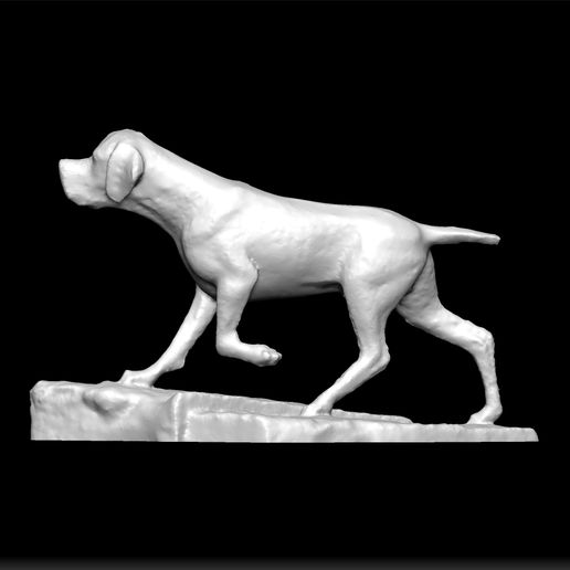 STL file Portuguese Pointer Dog Breed 3D Print Model - Hunting Dog STL ...