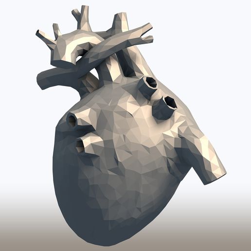 💜 Low-Poly Human Heart – Stylized 3D Anatomy Model・ OBJ File for 3D ...