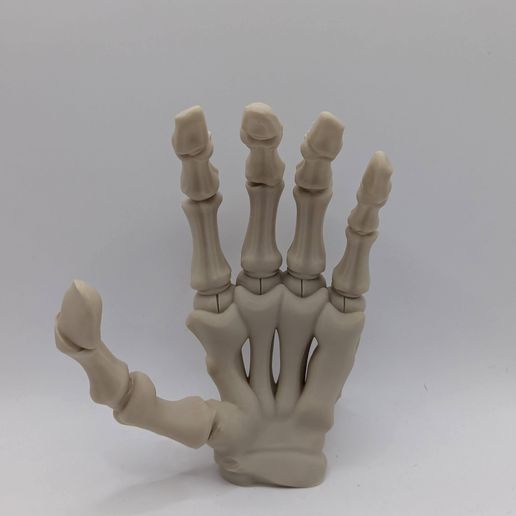 💀 skull and skeleton hand wall mount, without stand. Halloween ...