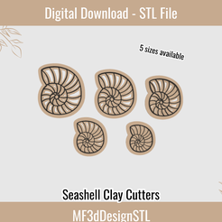 Seashell best STL files for 3D printing・182 models to download・Cults