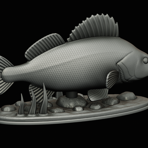 STL file fish perch / Perca fluviatilis statue underwater detailed ...