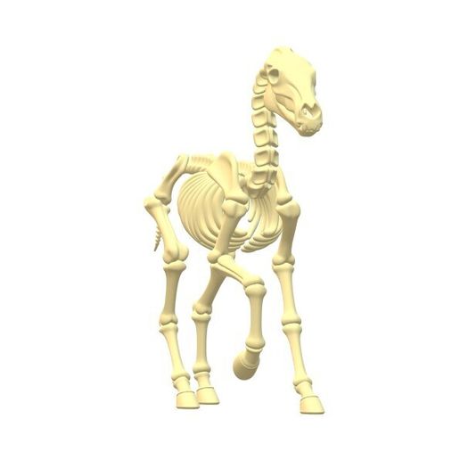 🐎 Horse Skeleton STL – Realistic Animal Bones 3D Model | Anatomical ...
