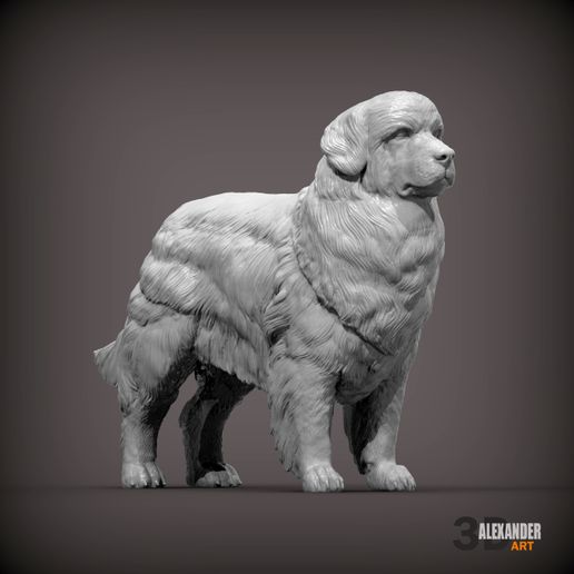 🐕 Newfoundlands 3D print model・ STL File for 3D printing・Cults