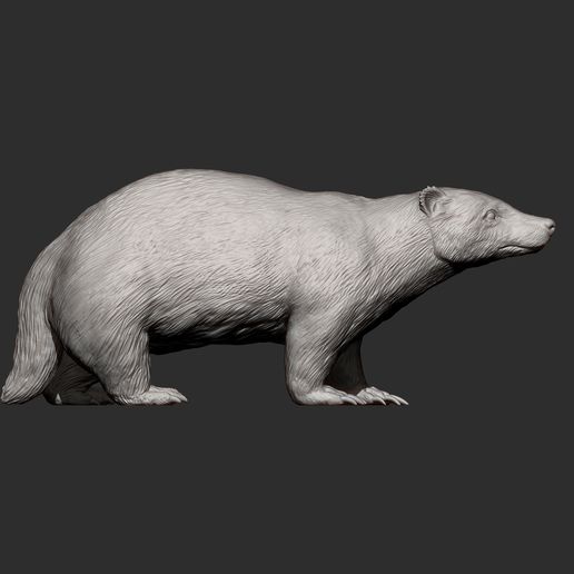 STL file European Badger 3D print model 🦡 (OBJ)・3D printable model to ...