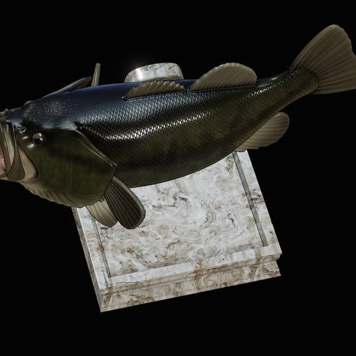 🐠 fish Largemouth Bass / Micropterus salmoides in motion 2 trophy ...