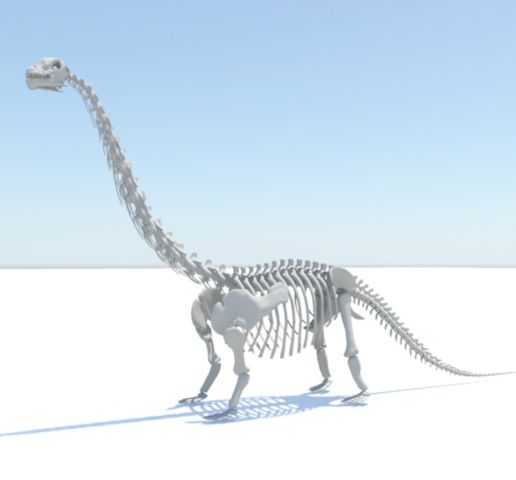 Free 3D file Apatosaurus Skeleton 3D model 💀 ・3D printer design to ...