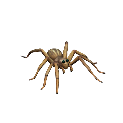 🐺 Wolf spider・ STL File for 3D printing・Cults