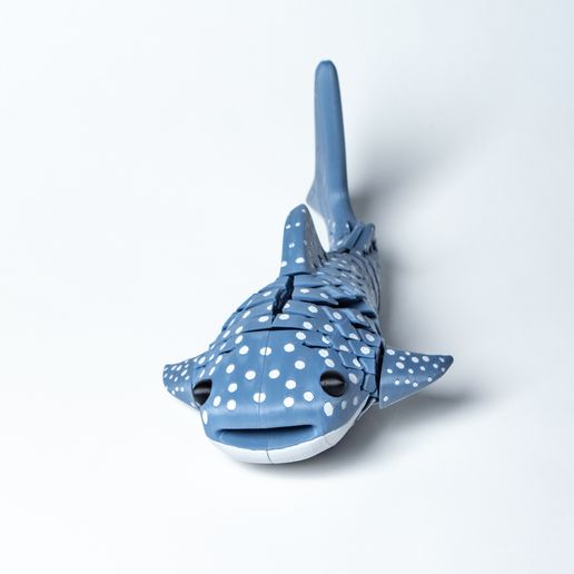 💾 Floppy Whale Shark - Articulated whale shark・ STL File for 3D ...