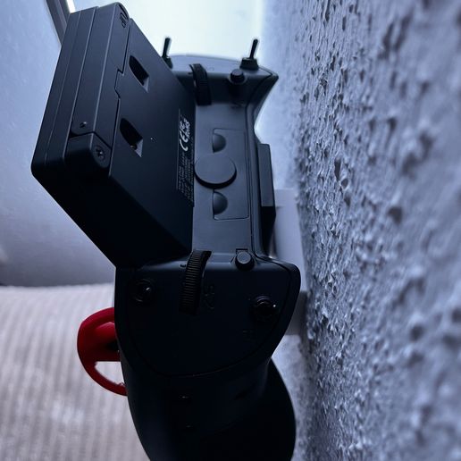 🛸 Radiomaster Zorro Wallmount・ STL File for 3D printing・Cults