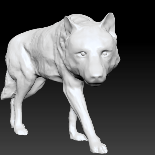 🐺 “Realistic 3D Printed Wolf Model - Perfect for Wildlife Enthusiasts ...