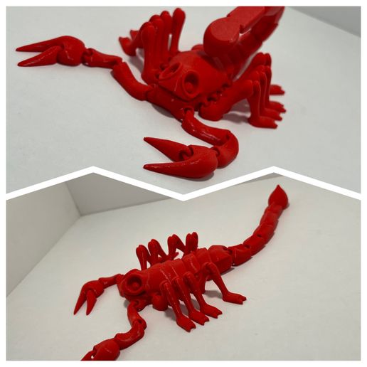 3D printed Flexi Print-In-Place Scorpion • made with CREALITY ENDER 3 V2・Cults