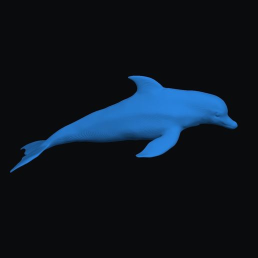 STL file dolphin 🐬 ・3D printable model to download・Cults