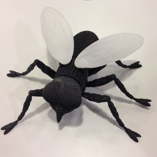 🪰 Fly・ STL File for ・Cults