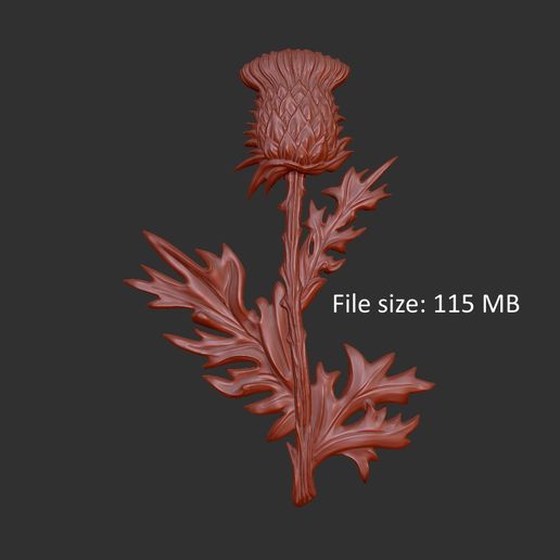 STL file Thistle 3d relief .stl file 📁 ・3D printing template to ...