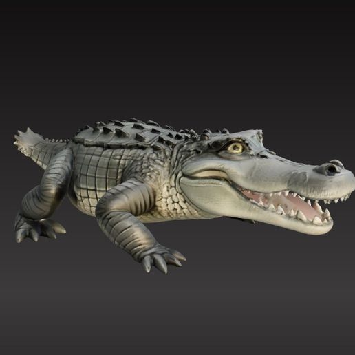 STL file crocodile 🐊 ・3D printer design to download・Cults