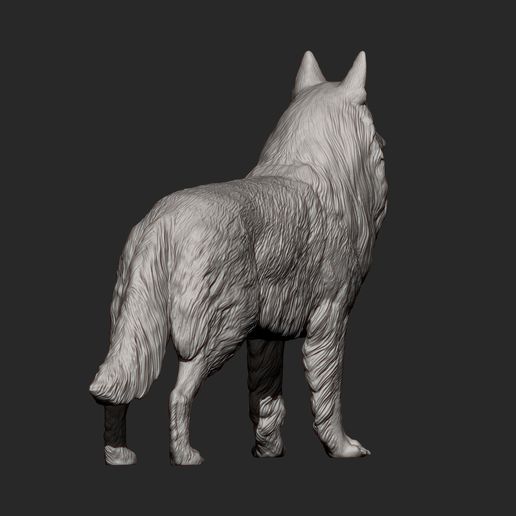 🐕 Belgian Sheepdog 3D print model・ STL File for 3D printing・Cults