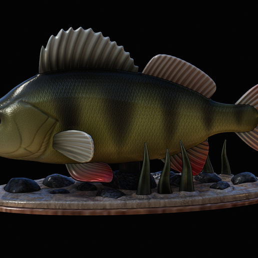 STL file fish perch / Perca fluviatilis statue underwater detailed ...