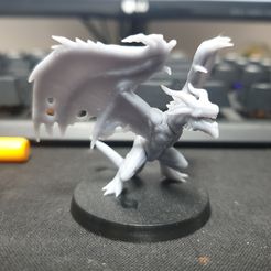 3D printing Flame drake・Cults