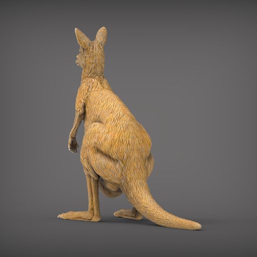 Archivo STL Gray kangaroo 3D print model 🦘 (OBJ)・Objeto imprimible en ...
