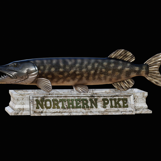 🐠 fish NORTHERN PIKE (ESOX LUCIUS) open mouth stone base for 3d ...