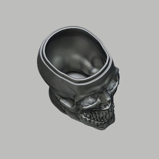 💀 skull container, skull head container,human skull, container, Perfect ...