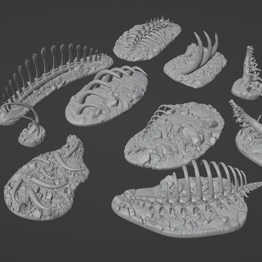 🦴 Bone Bits - Spines and Ribs for Basing・ STL File for ・Cults