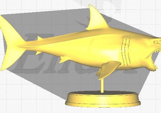 🦈 Megalodon - The Prehistoric Giant Shark with Base・ STL File for 3D ...
