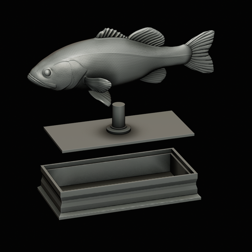 🐠 fish Largemouth Bass / Micropterus salmoides with storage space / for ...