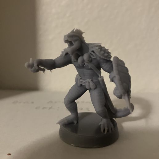 🎲 Lizardfolk Bandit Captain・3D Print with the Elegoo Saturn 4 Ultra 3D ...