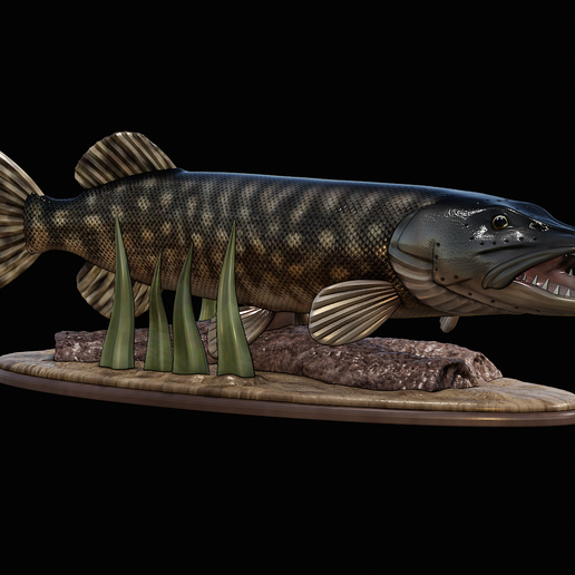 🐠 fish NORTHERN PIKE (ESOX LUCIUS) in motion 2 natural base detailed ...