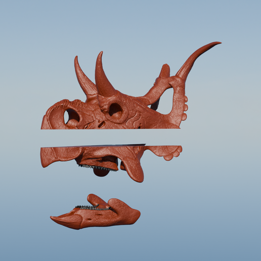 💀 Diabloceratops Eatoni Skull 20cm 3d model 3d print・ STL File for 3D ...