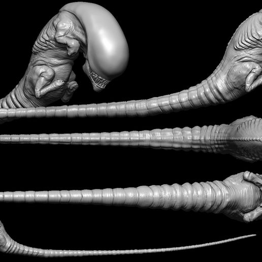 👽 Alien 3 embryo・ OBJ File for ・Cults