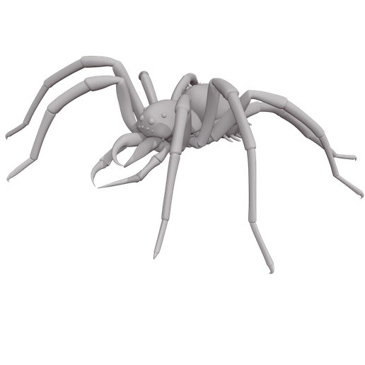 🕷️ Spider・ STL File for 3D printing・Cults