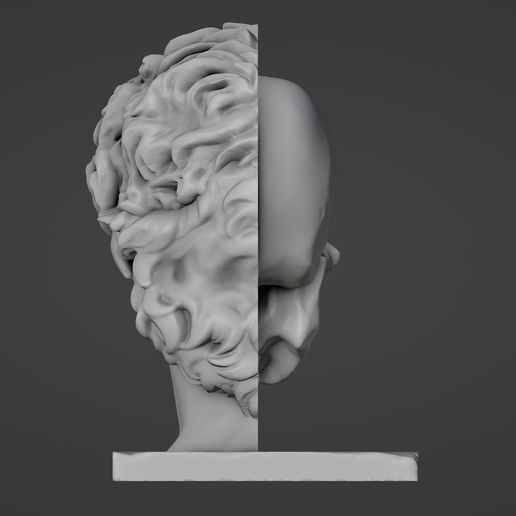 💀 Half Head, Half Skull・ 3D File for ・Cults